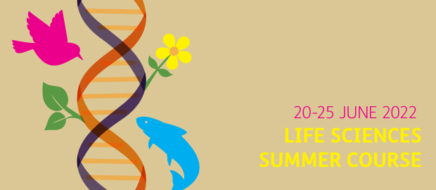 Costeas Geitonas School | CGS